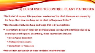 Applications of fungi | PPT