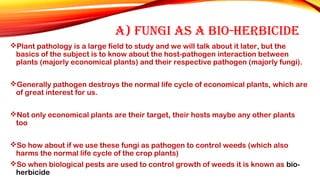Applications of fungi | PPT