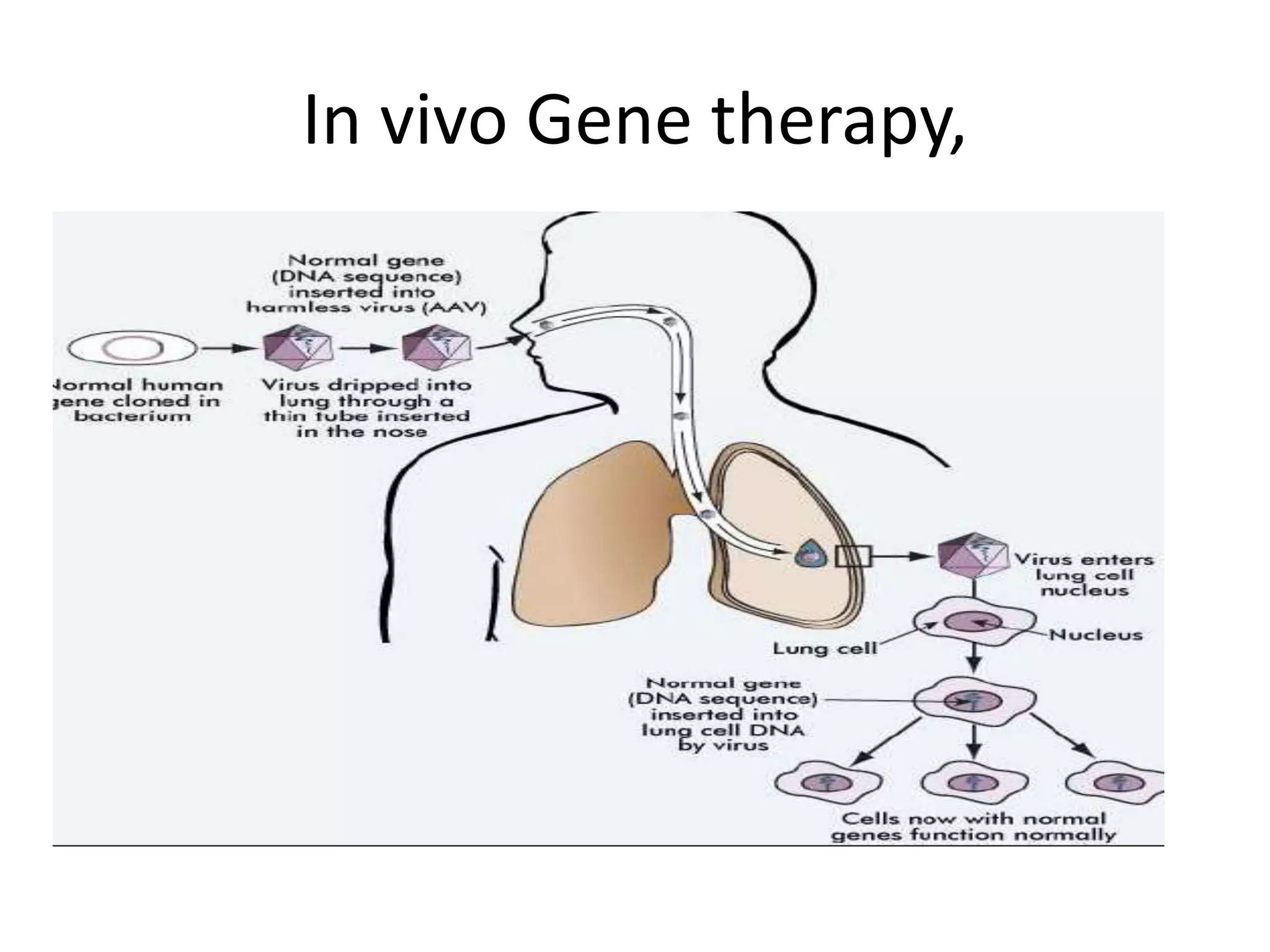 Applications of gene therapy | PPTX