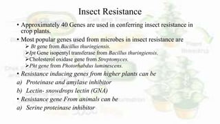 Applications of genetic engineering in crop improvement | PPTX