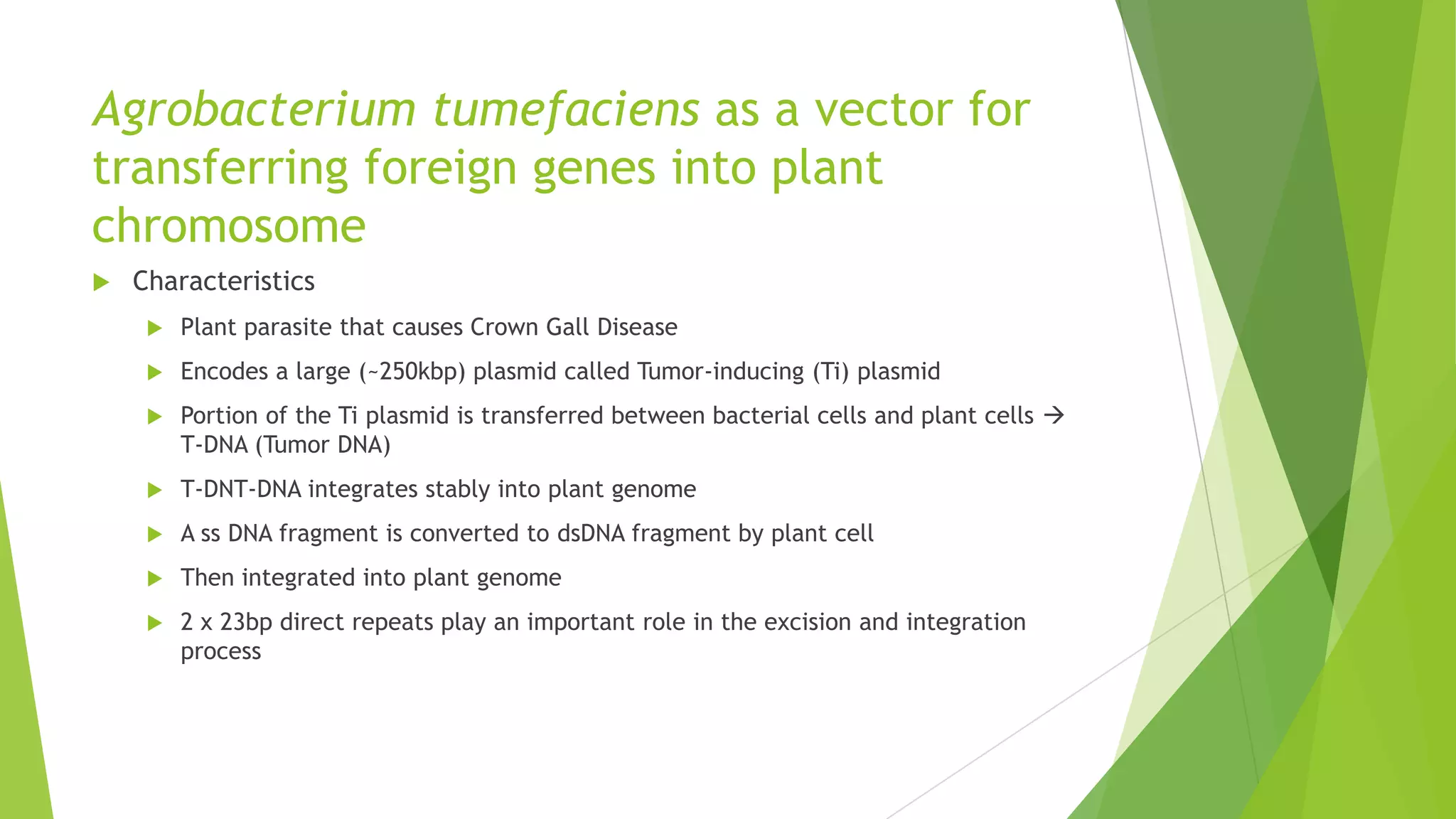 Applications of genetic engineering techniques in agriculture | PPTX