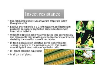 Applications of genetic engineering techniques in agriculture byB ...