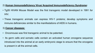 APPLICATIONS OF GM ANIMALS...........pptx