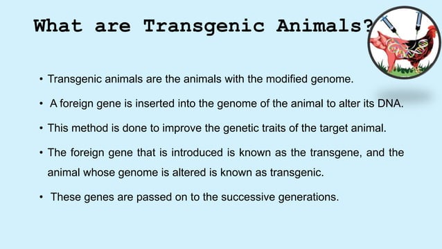 APPLICATIONS OF GM ANIMALS...........pptx | Biotech and Biomedical ...