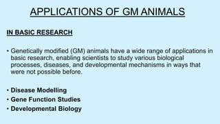 APPLICATIONS OF GM ANIMALS...........pptx