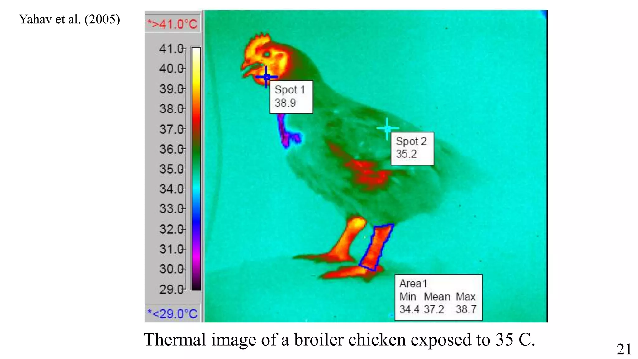 Applications of Infrared Thermography in Animal.pptx