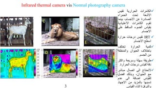 Applications of Infrared Thermography in Animal.pptx