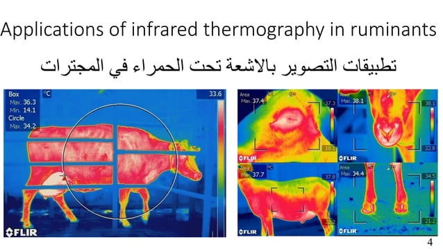 Applications of Infrared Thermography in Animal.pptx