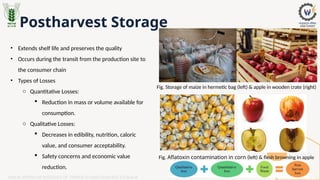 APPLICATIONS OF INTERNET OF THINGS IN POST-HARVEST STORAGE_SS.pptx