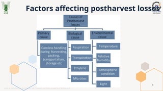 APPLICATIONS OF INTERNET OF THINGS IN POST-HARVEST STORAGE_SS.pptx