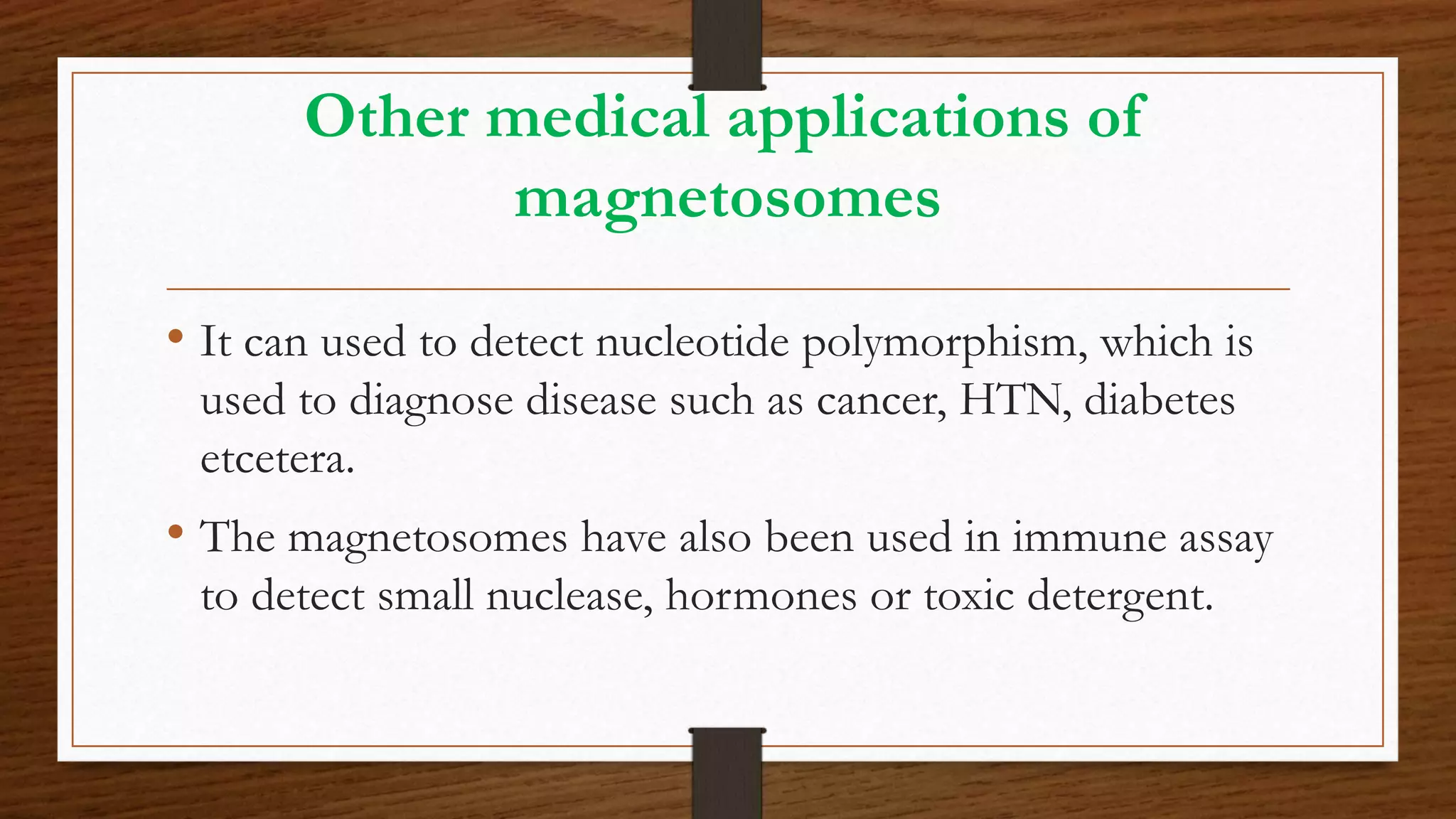 Applications of magnetic bacteria. | PPTX