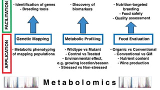 Emerging Applications of Metabolomics in the Field of Agricultural ...