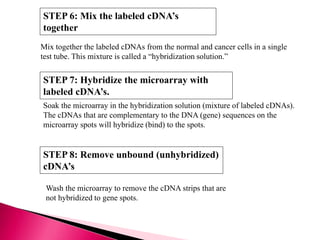 Applications of microarray | PPTX