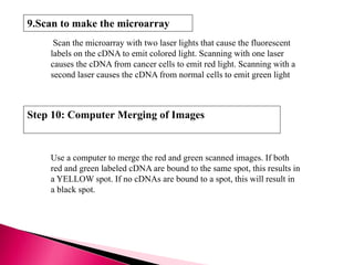 Applications of microarray | PPTX
