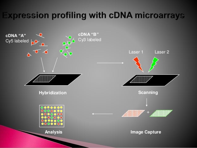 Applications Of Microarray 1548