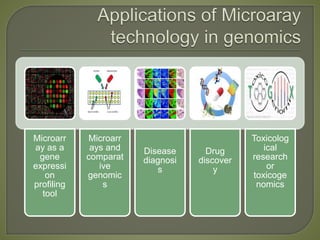 Applications of microarray | PPTX