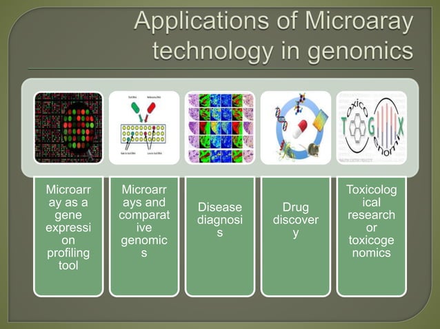 Applications of microarray | PPT