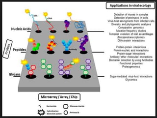 Applications of microarray | PPTX