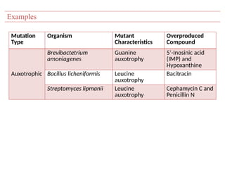 Applications of Mutations.pptxhdgdgjjygh | PPTX