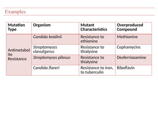 Applications of Mutations.pptxhdgdgjjygh | PPT