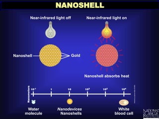 Applications of nanobiotechnology by kk sahu | PPT