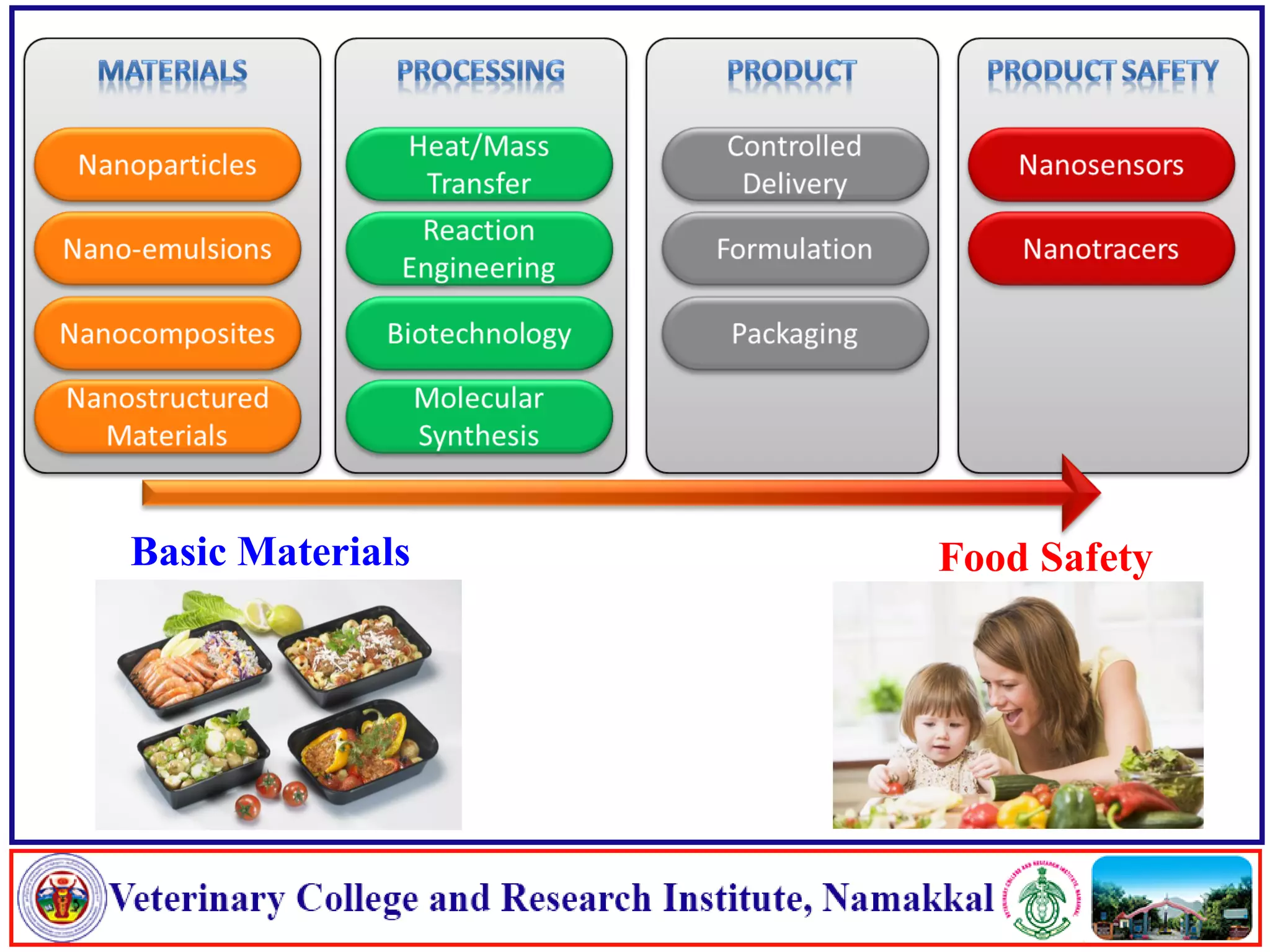 Applications of nanotechnology in food packaging and food safety | PDF