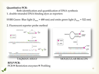 Applications of pcr in detection of food borne pathogens and gm foods ...
