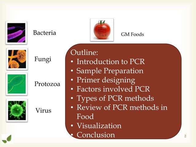 Applications of pcr in detection of food borne pathogens and gm foods ...