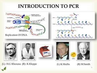 Applications of pcr in detection of food borne pathogens and gm foods ...