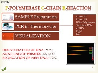 Applications of pcr in detection of food borne pathogens and gm foods ...