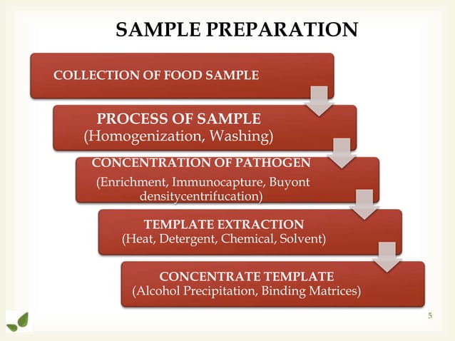 Applications Of Pcr In Detection Of Food Borne Pathogens And Gm Foods