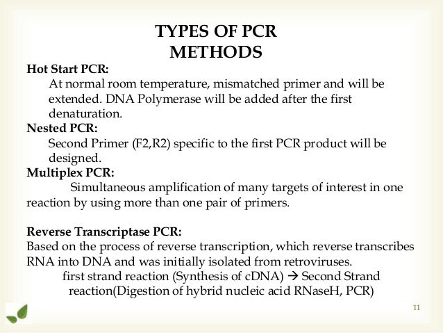 Applications Of Pcr In Detection Of Food Borne Pathogens And Gm Foods
