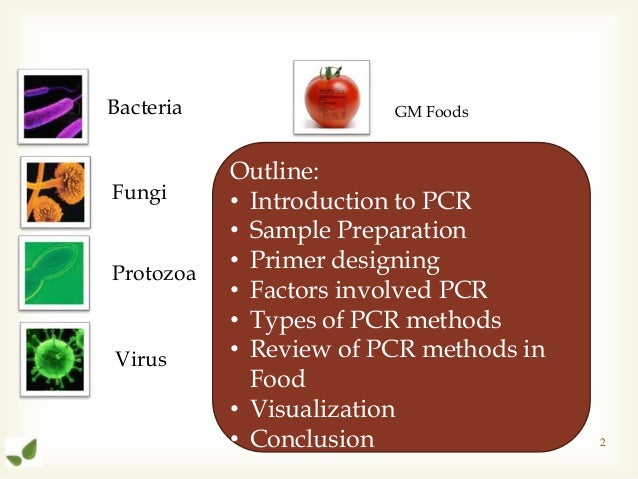 Applications Of Pcr In Detection Of Food Borne Pathogens And Gm Foods