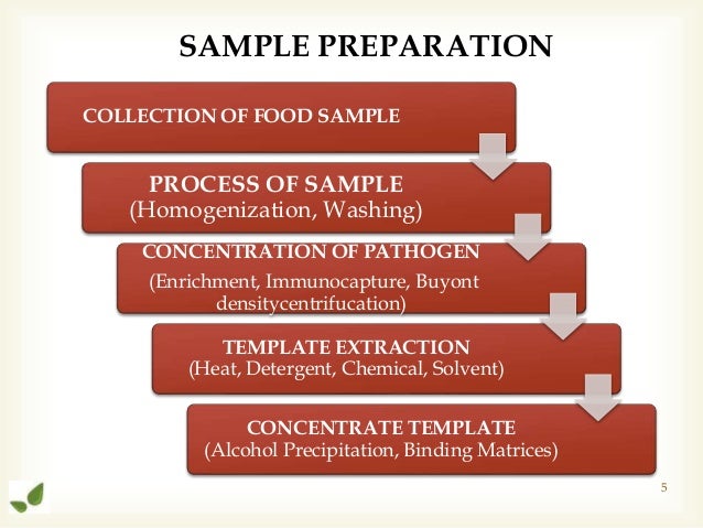 Applications Of Pcr In Detection Of Food Borne Pathogens And Gm Foods