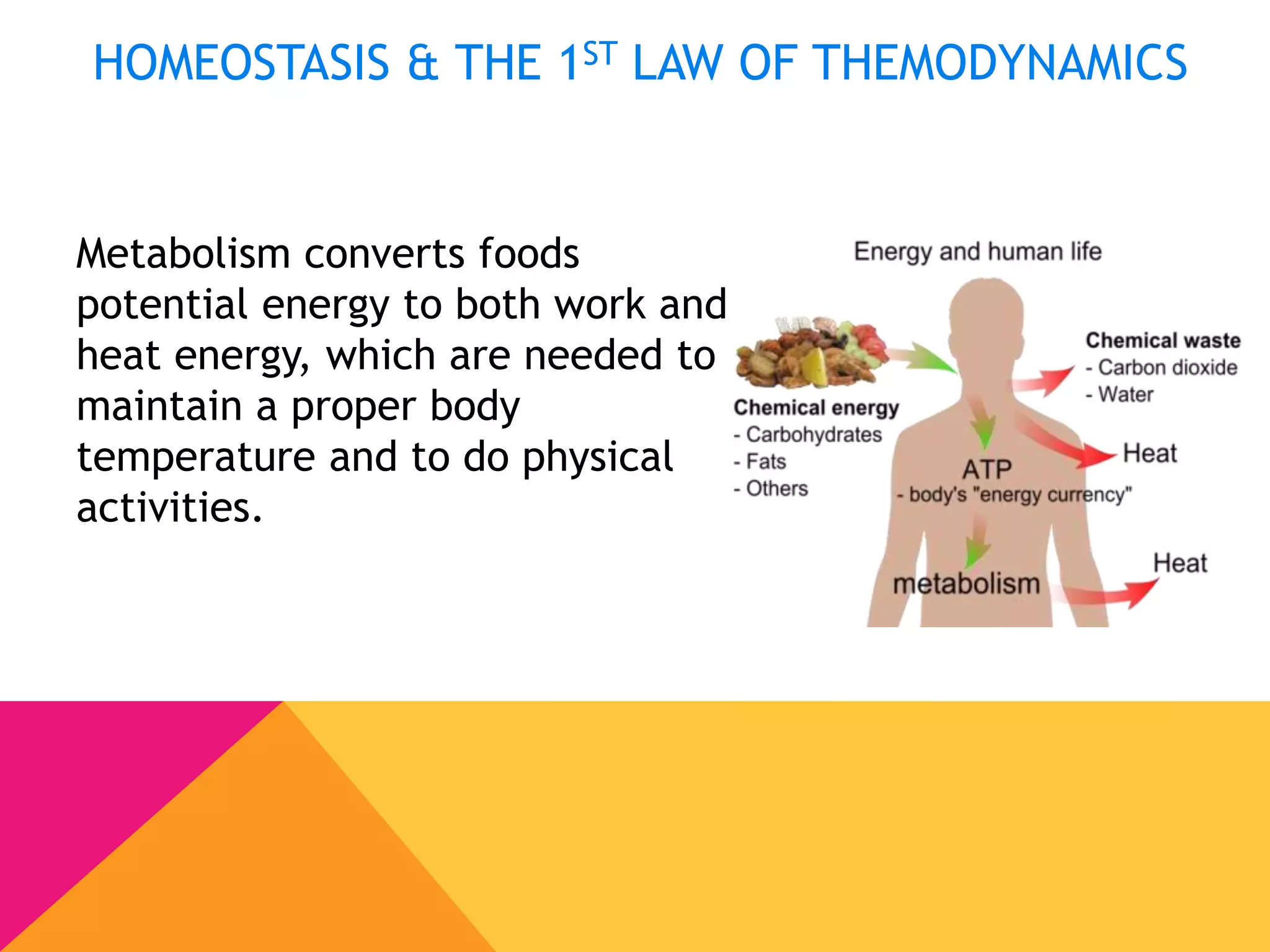 Applications of physics in biology | PPTX