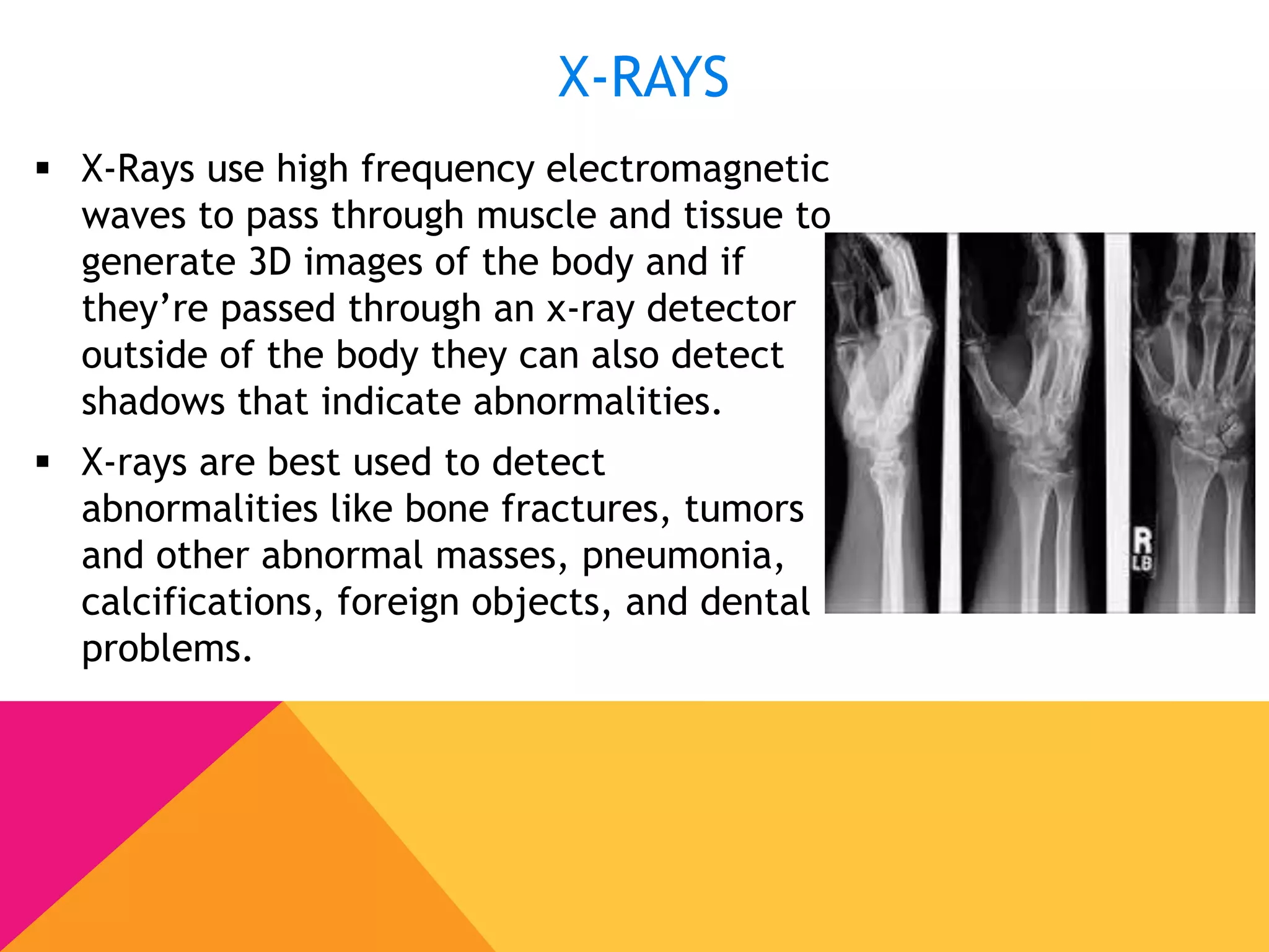 Applications of physics in biology | PPTX