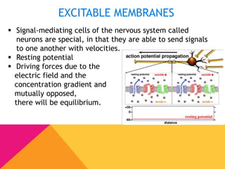 Applications of physics in biology | PPTX