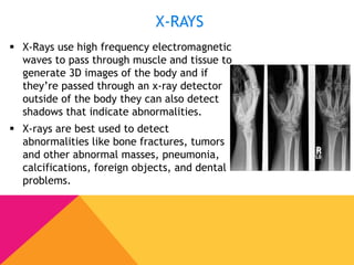 Applications of physics in biology | PPTX