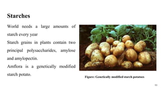 Applications of plant biotechnology | PPTX