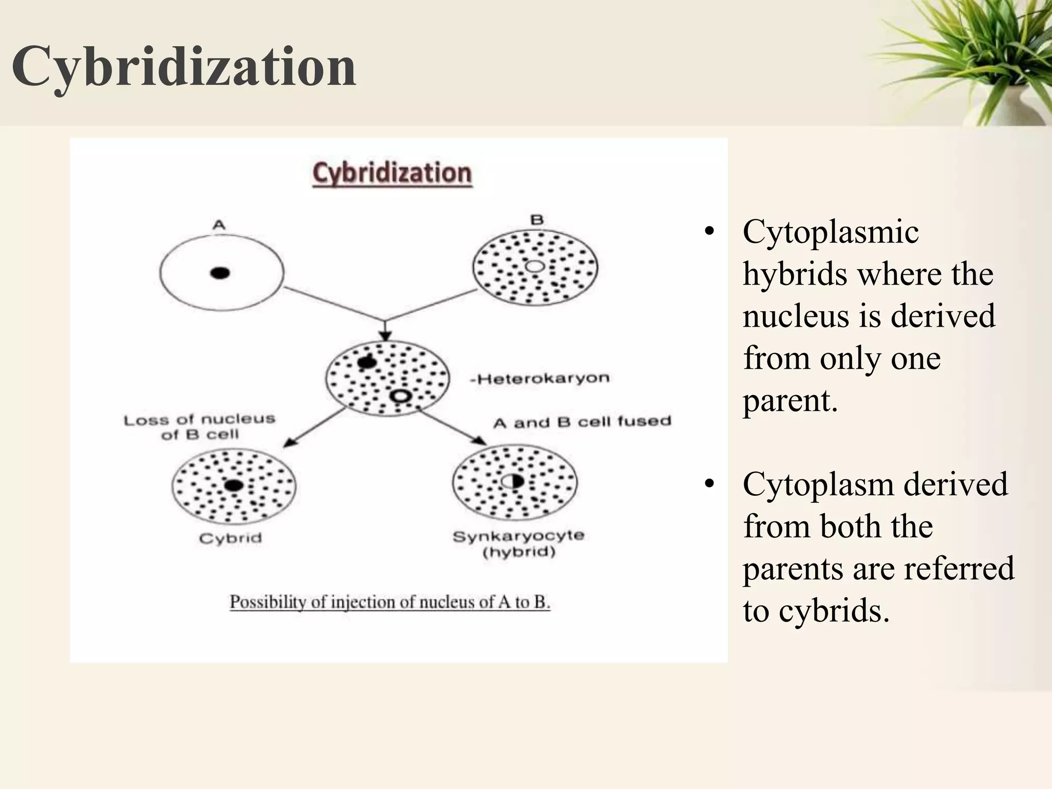 Applications of plant biotechnology | PPTX