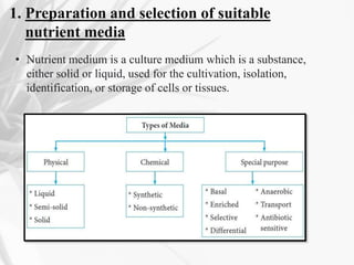 Applications of plant biotechnology | PPT