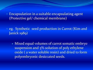 APPLICATIONS OF PLANT TISSUE CULTURE SMG | PPTX