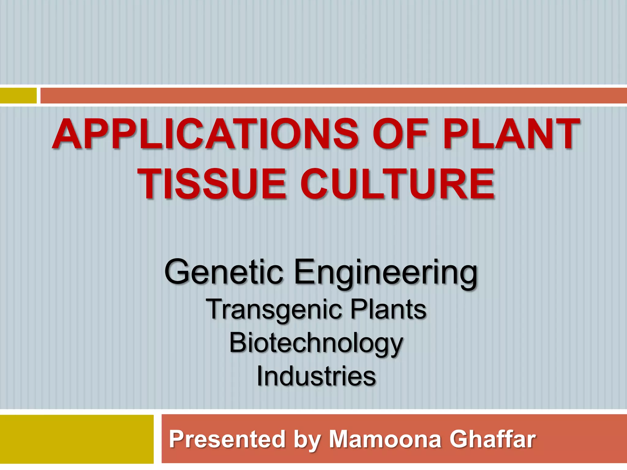Applications of Plant Tissue Culture || Presented by Mamoona Ghaffar | PPTX