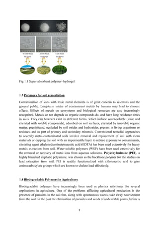 Applications of polymers in everyday life | PDF