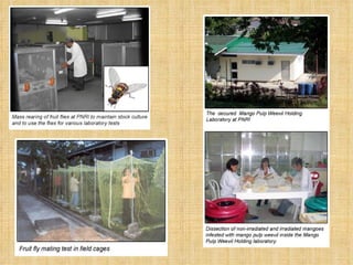 Applications Of Radiations | PPT