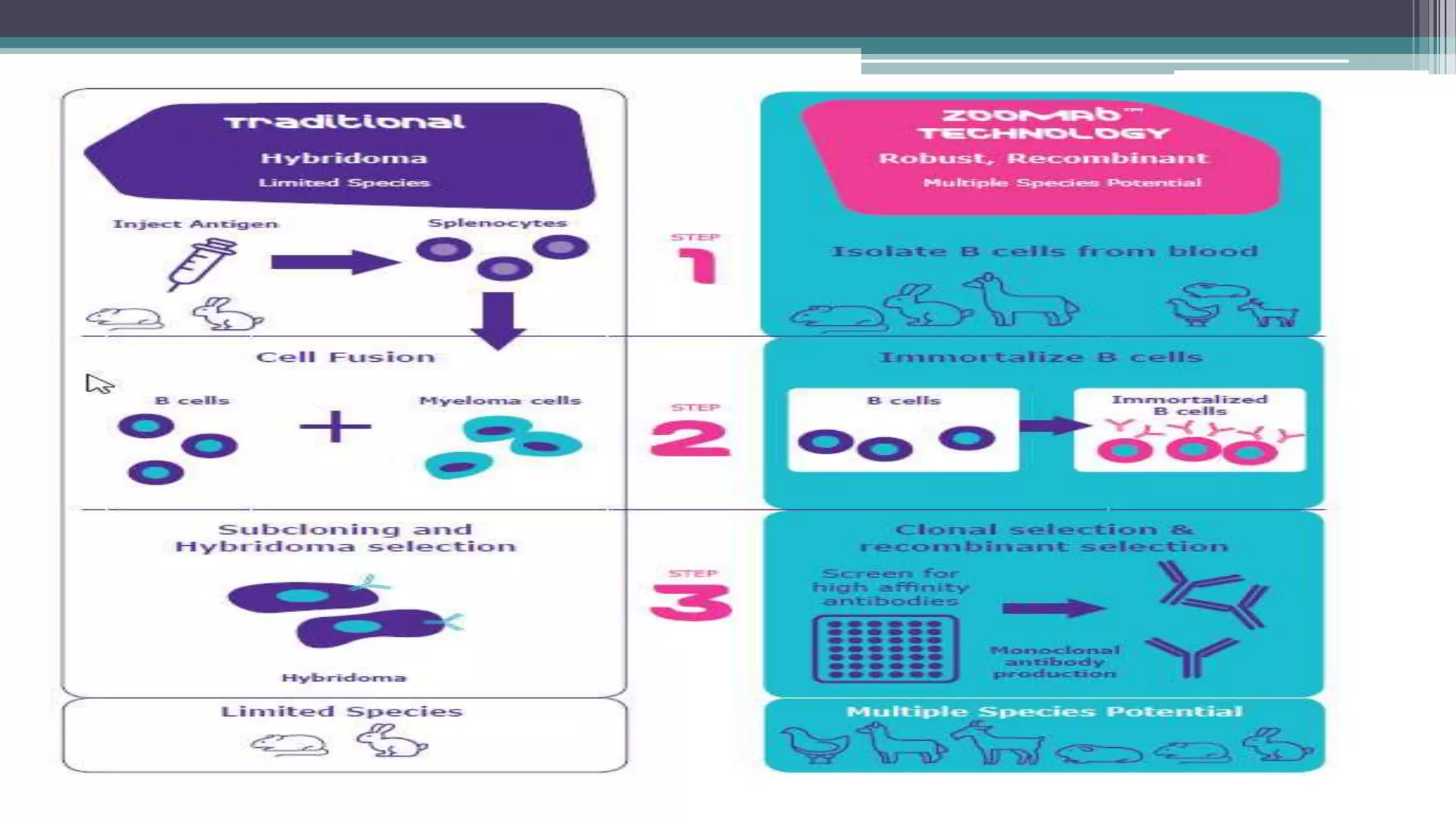 Applications of rdna technology in medicines | PPTX