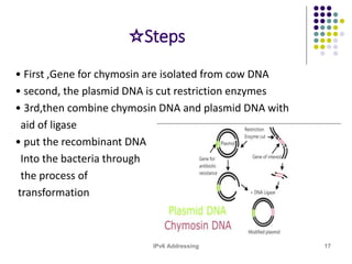 Applications of recombinant dna tech by faiza iqbal | PPTX