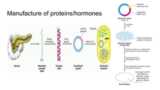 Applications of Recombinant DNA Technology | PDF