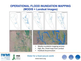 Applications of remote sensing and modelling in flood risk analysis and ...