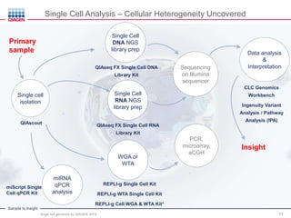 Applications of Single Cell Analysis | PDF